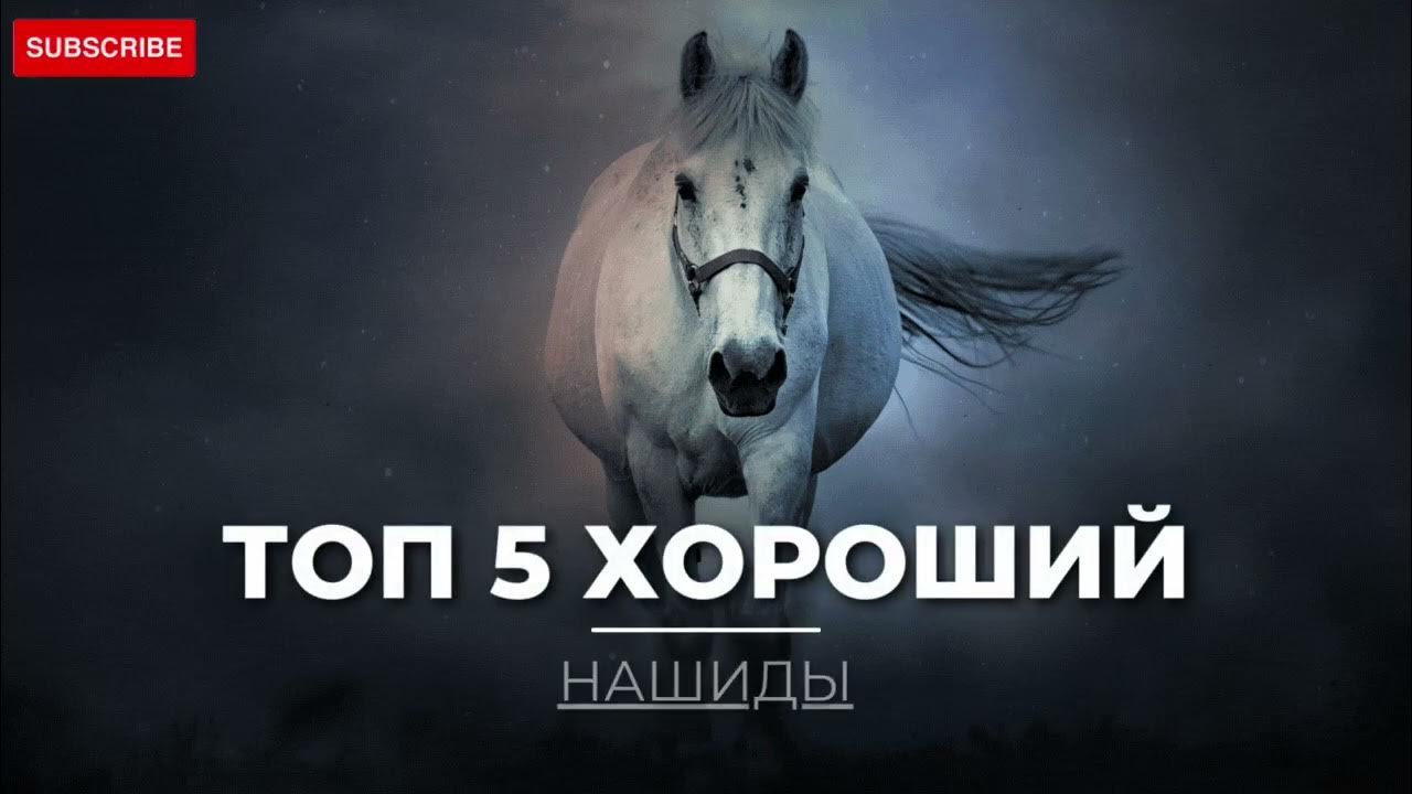 Нашиды ТОП 5 Нашиды самые красивые - YouTube