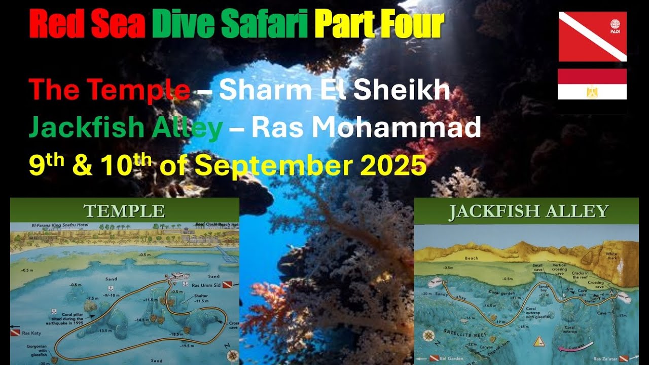 Red Sea Dive Safari Part Four - Temple & Jackfish Alley - YouTube