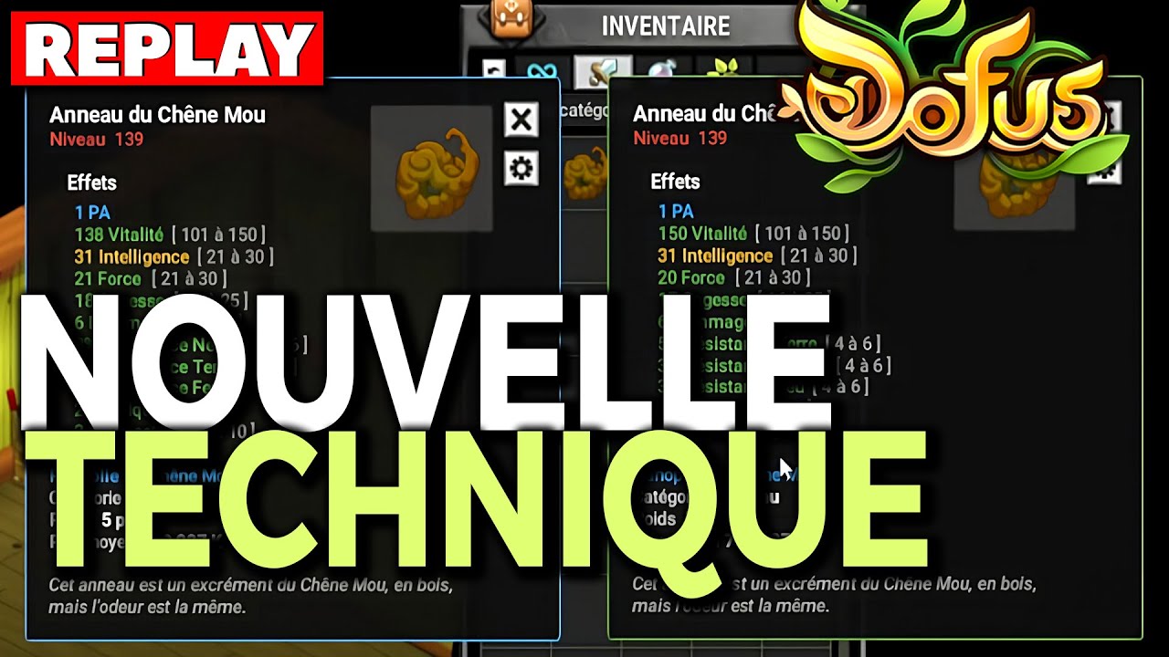 Cette TECHNIQUE va RÉVOLUTIONNER la FM sur Dofus - YouTube