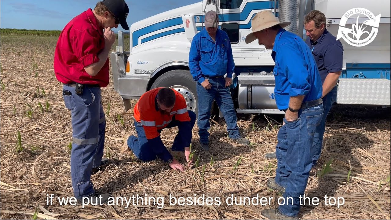 The benefits of Bio Dunder® as a pre-plant fertiliser - YouTube
