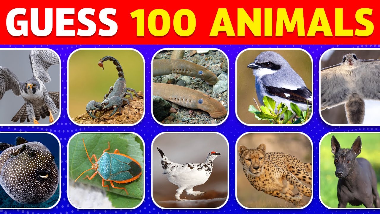 Guess These 100 DANGEROUS Animals in 5 Seconds - YouTube