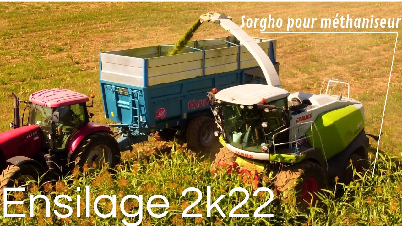 Ensilage du Sorgho 2022 !💥🤠 - Ensileuse CLAAS Jaguar 870 + bec 8 rangs ...