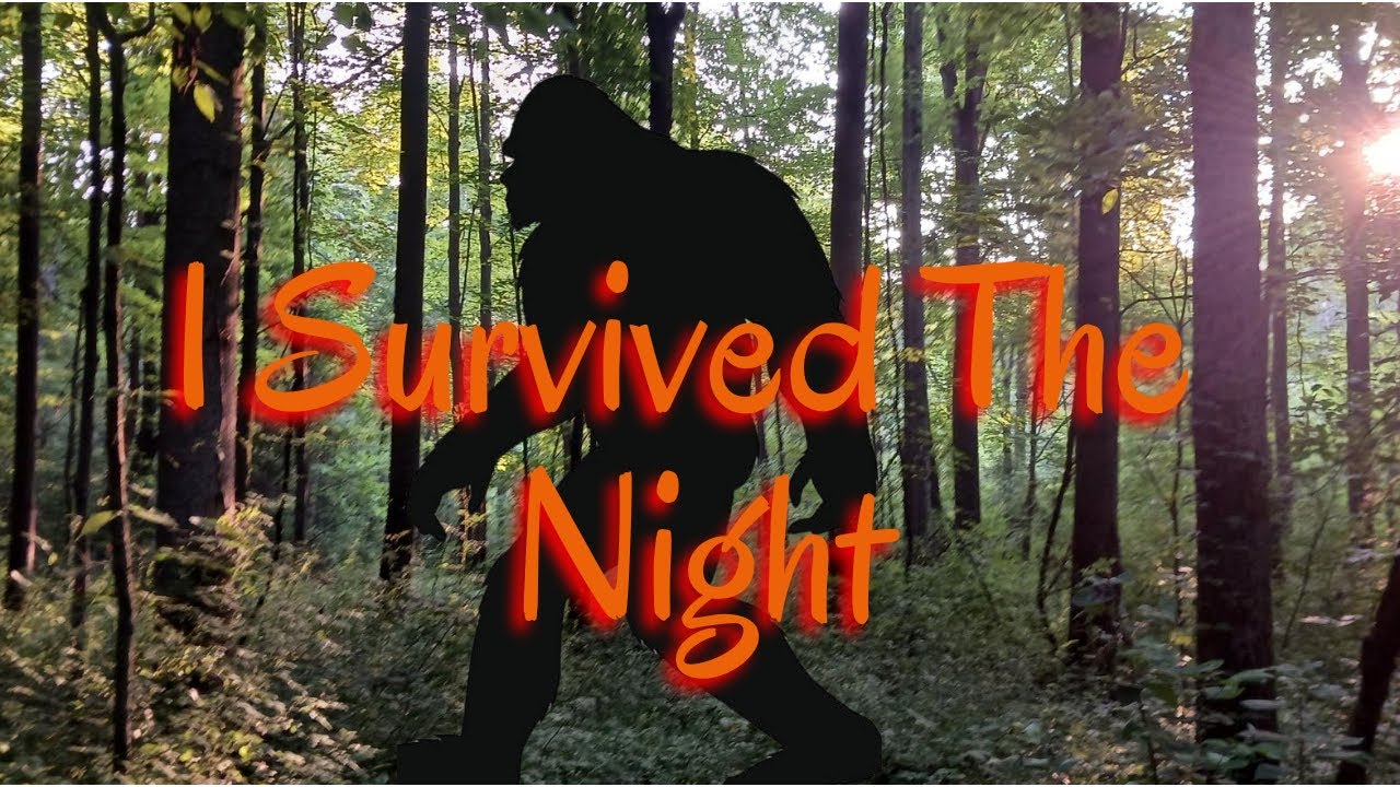 The Growl & The Tree knock - YouTube