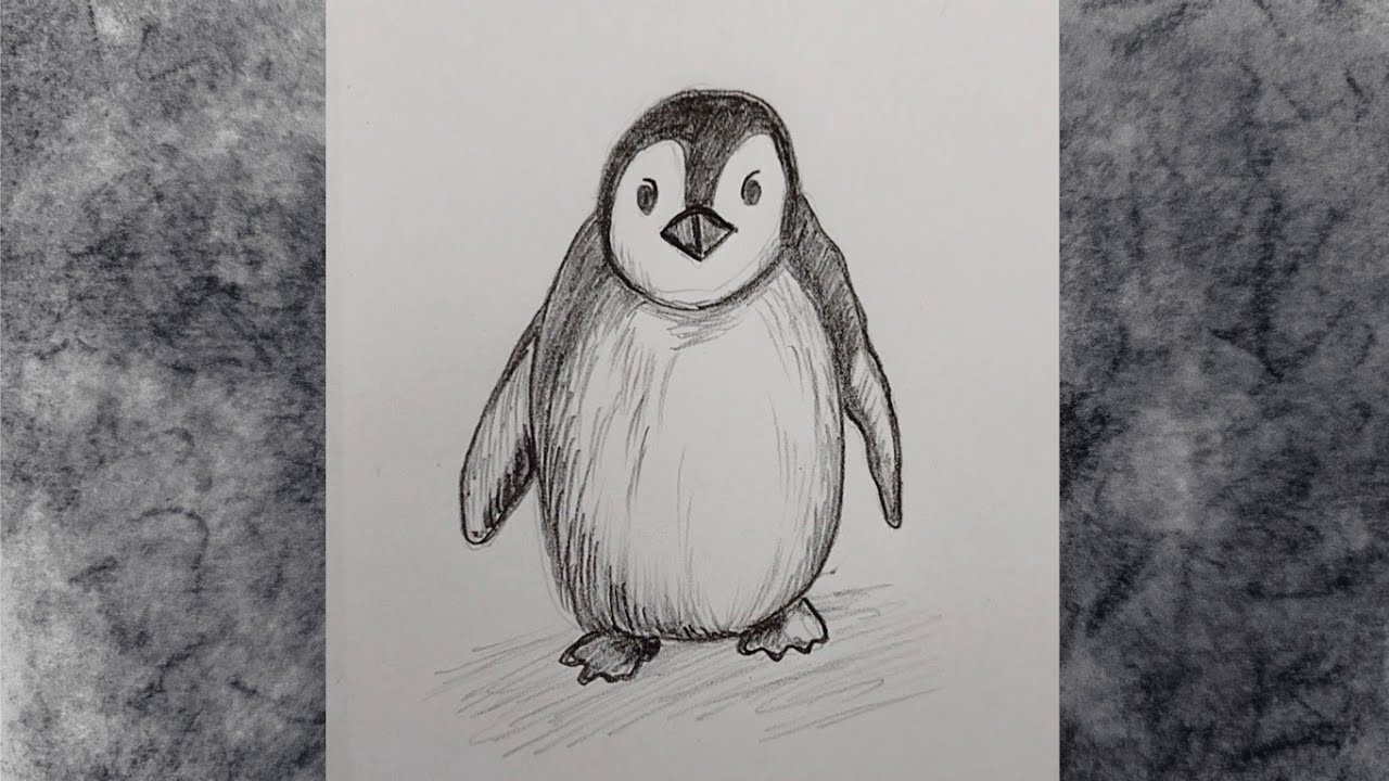 How to Draw Penguin with Pencil / Easy Beginners Tutorial - YouTube