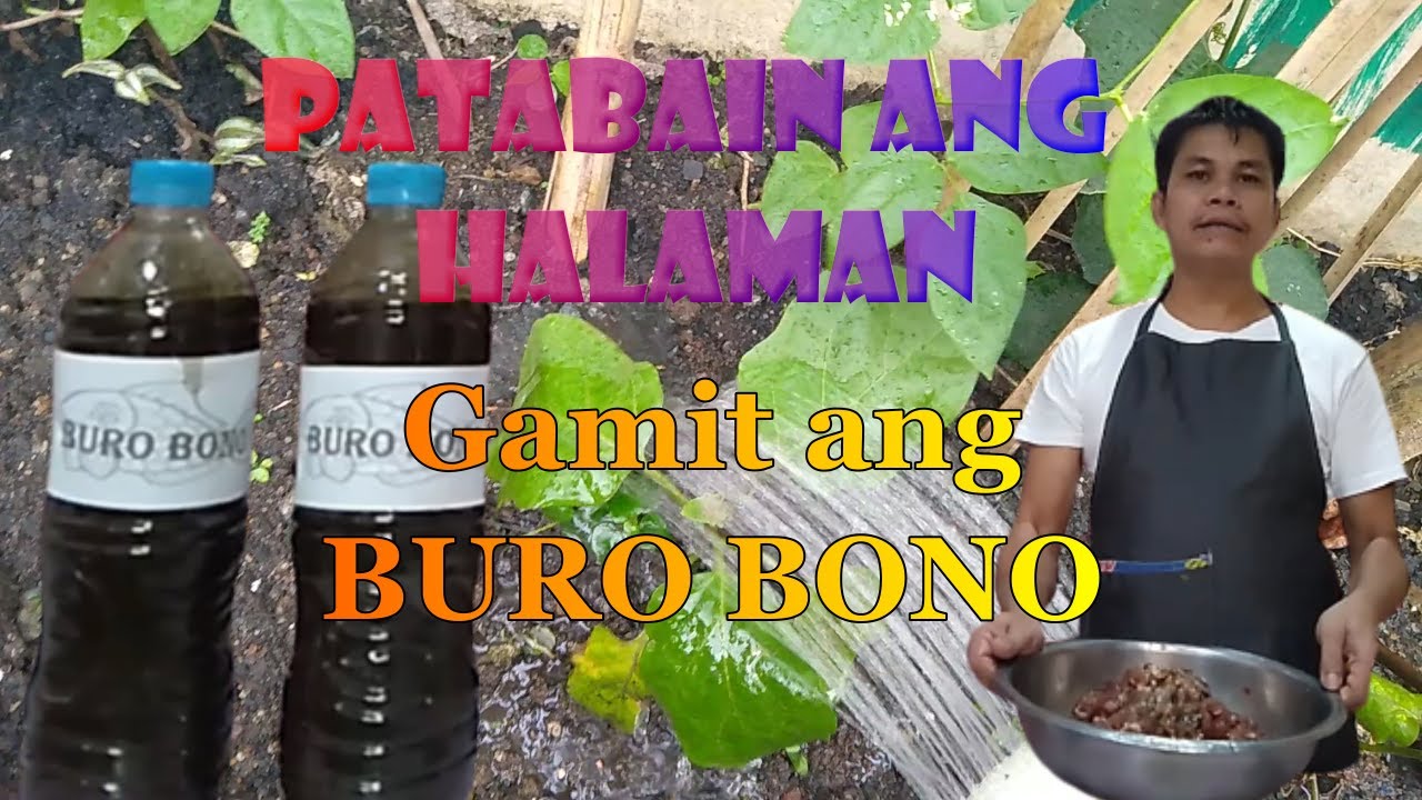 Fish Amino Acid (FAA) Buro-bono Tutorial - YouTube