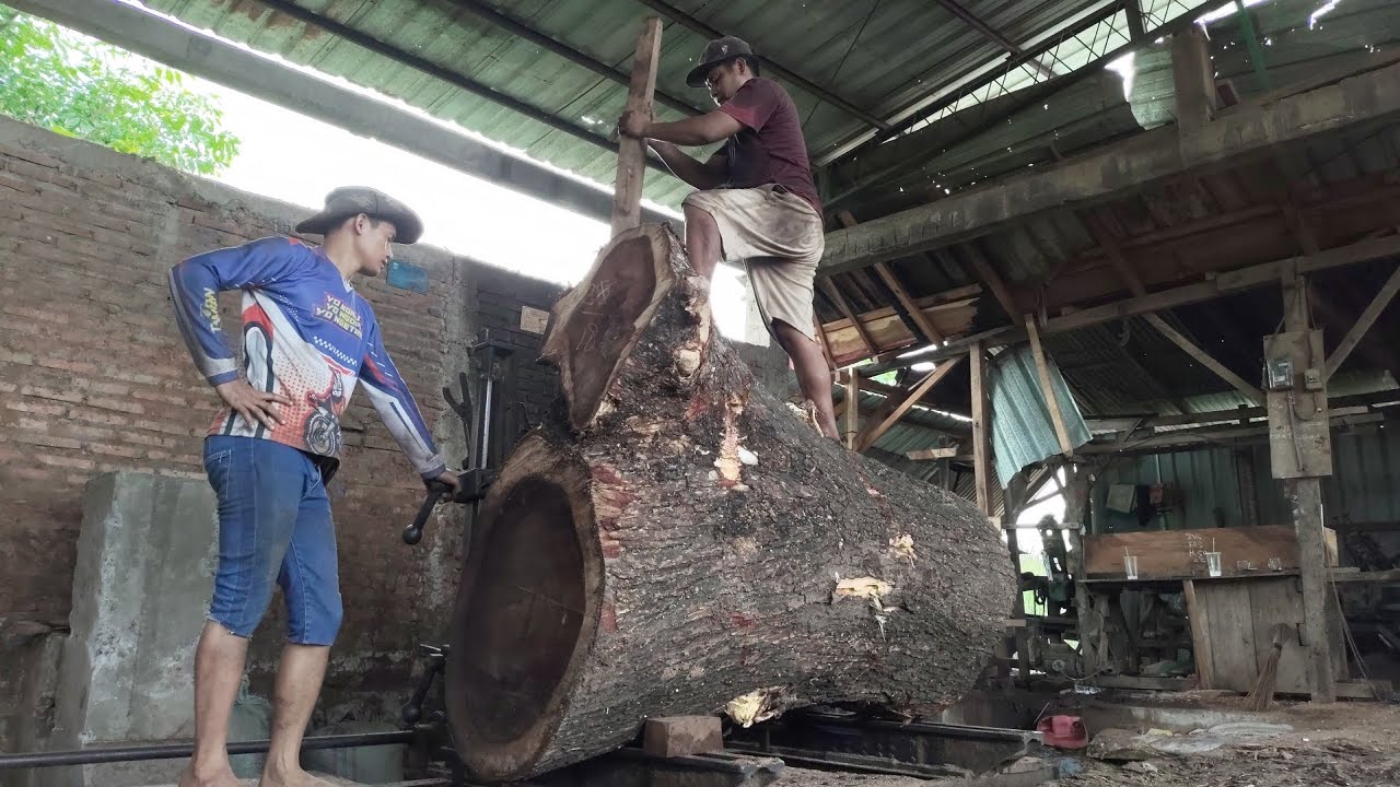 Secret Technique to Split Giant Tree Branches - YouTube