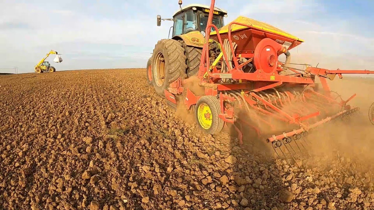 Rats Back , Drilling wheat in dry conditions, Drilling cover crops ...