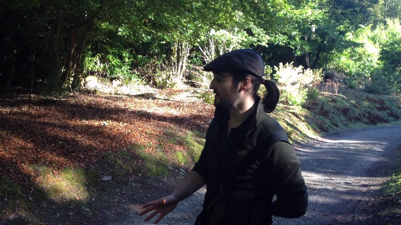 Hawk Walk at Ireland's School of Falconry at Ashford Castle - YouTube