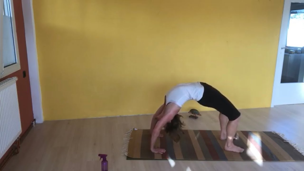 Part C: ASHTANGA MYSORE STYLE: Finishing sequence - YouTube