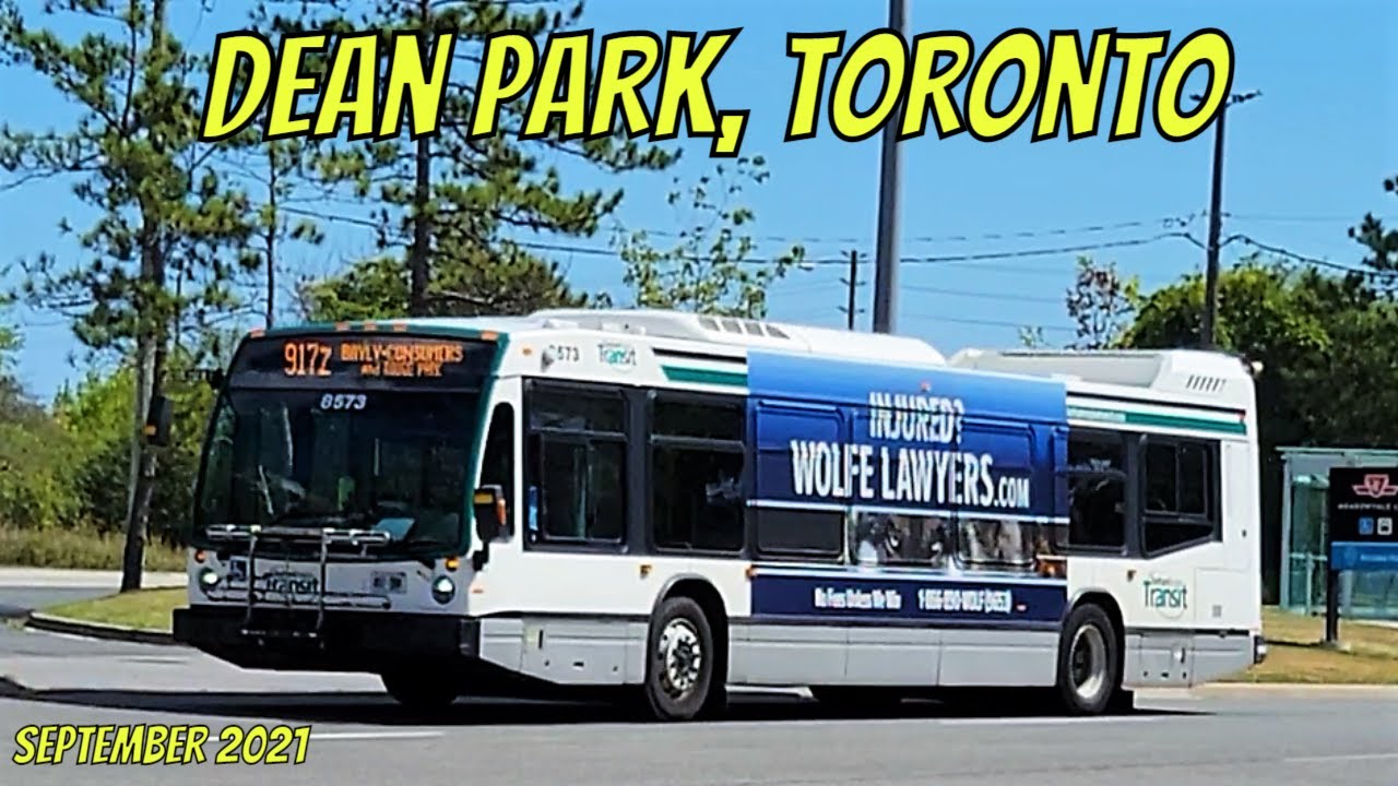 Transit in Dean Park | TTC, DRT, & GO Transit Buses (September 2021 ...