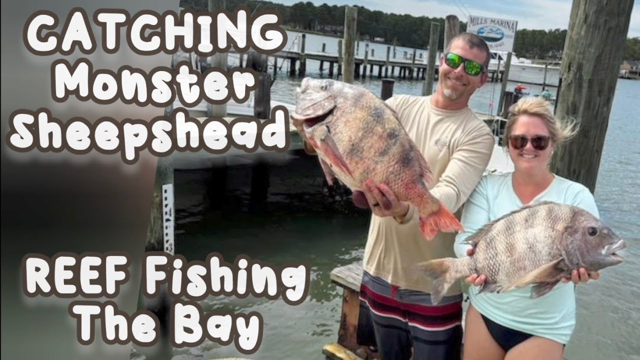 Catching Monster Sheepshead Fish On Homemade Sweeper Jigs : Reef ...