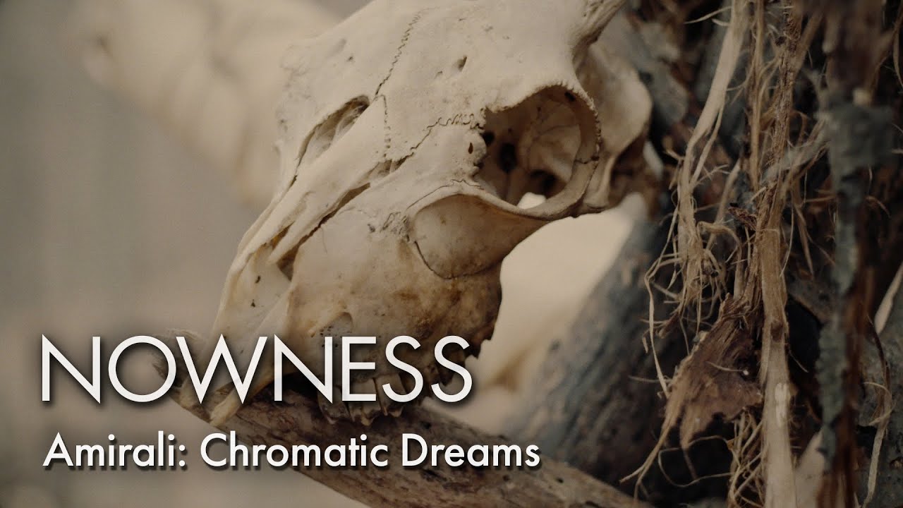 Amirali: Chromatic Dreams (Official Video) - YouTube