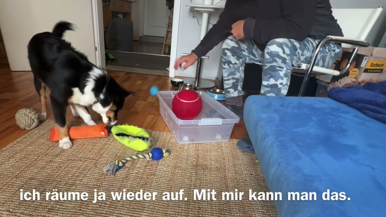Spielzeug Inventur Heute machen wir was neues. Hab gelernt aufzuräumen ...