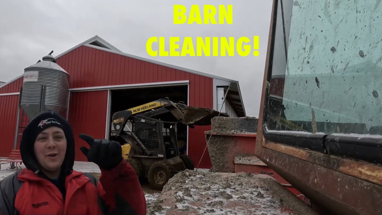Cleaning the Heifer, Dry Cow, and Calf barns - YouTube