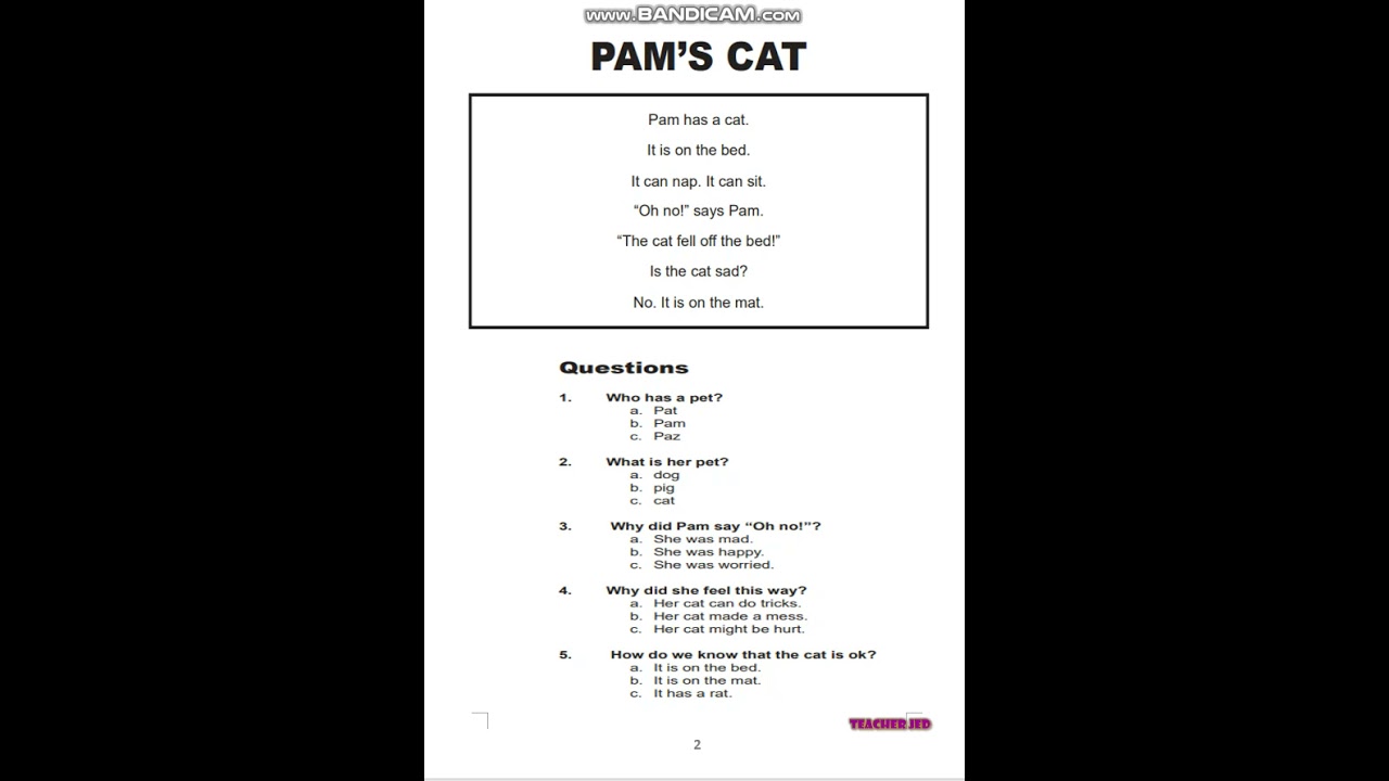 PAM'S CAT - YouTube
