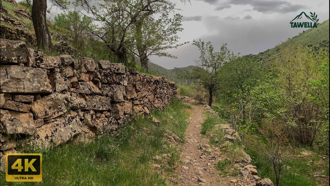 Sarkal Road in Spring – A Peaceful Day in Tawella, Kurdistan - YouTube