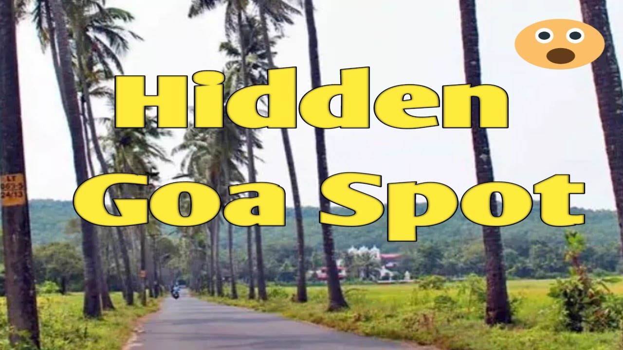 Scenic Drive on Parra Coconut Tree Road to Goa’s Oldest Ganesh Temple ...