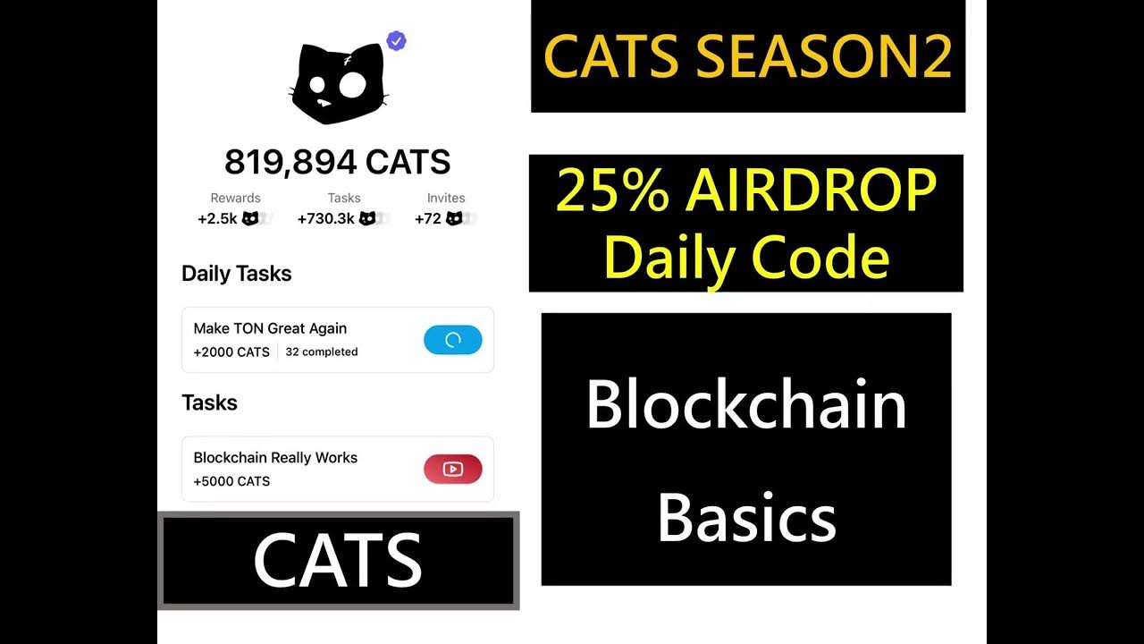 Cats Video Code!Blockchain Basics! Cats daily code!Cats Airdrop!free aipdrop game!!December ...