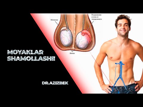 Moyaklar shamollashi!