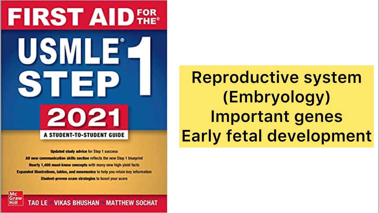 Reproductive System (embryology) early fetal development part 1 USMLE ...