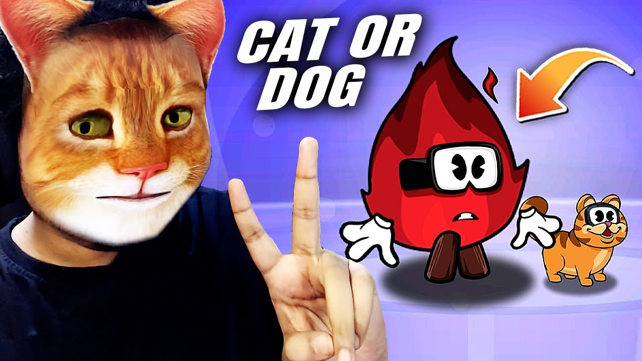 ARE CATS SMARTER THAN DOGS IN SILLY ROYALE NEW UPDATE !! - YouTube