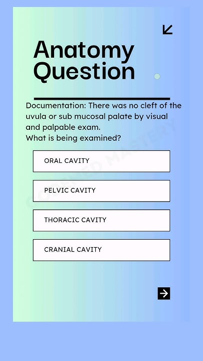 CPC Exam Anatomy frequently asked question. Let's learn anatomy together.#shorts - YouTube