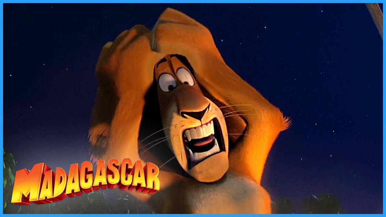 A fire on the island? | DreamWorks Madagascar - YouTube