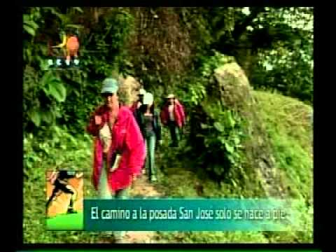 Bitacora - Valentina Quintero - Barinas - San Silvestre - YouTube