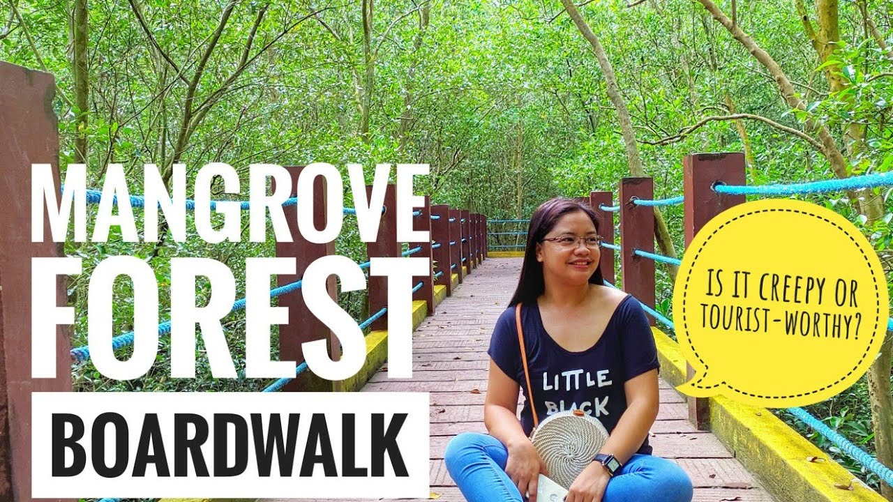 SECOND LARGEST MANGROVE FOREST RESERVE of DAVAO REGION | PANABO CITY ...