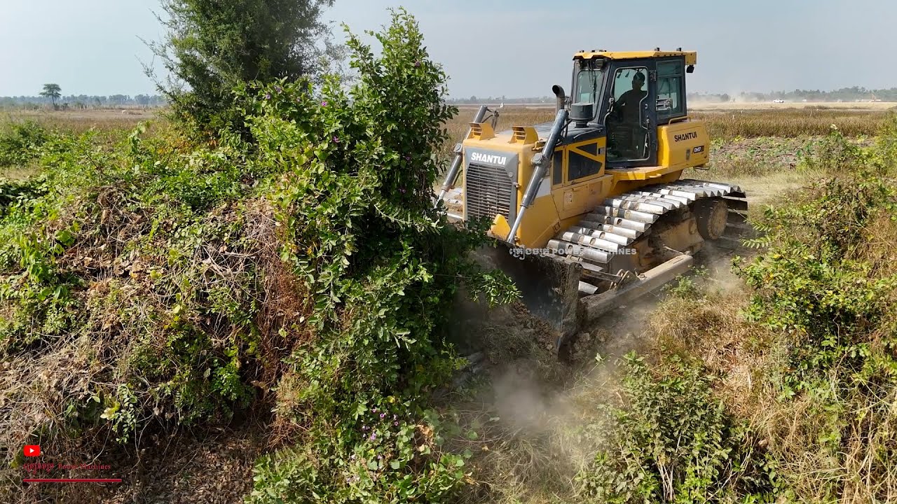 Amazing New Job!!! Dozer Plows Cutting Forest and Trimming Slope On ...