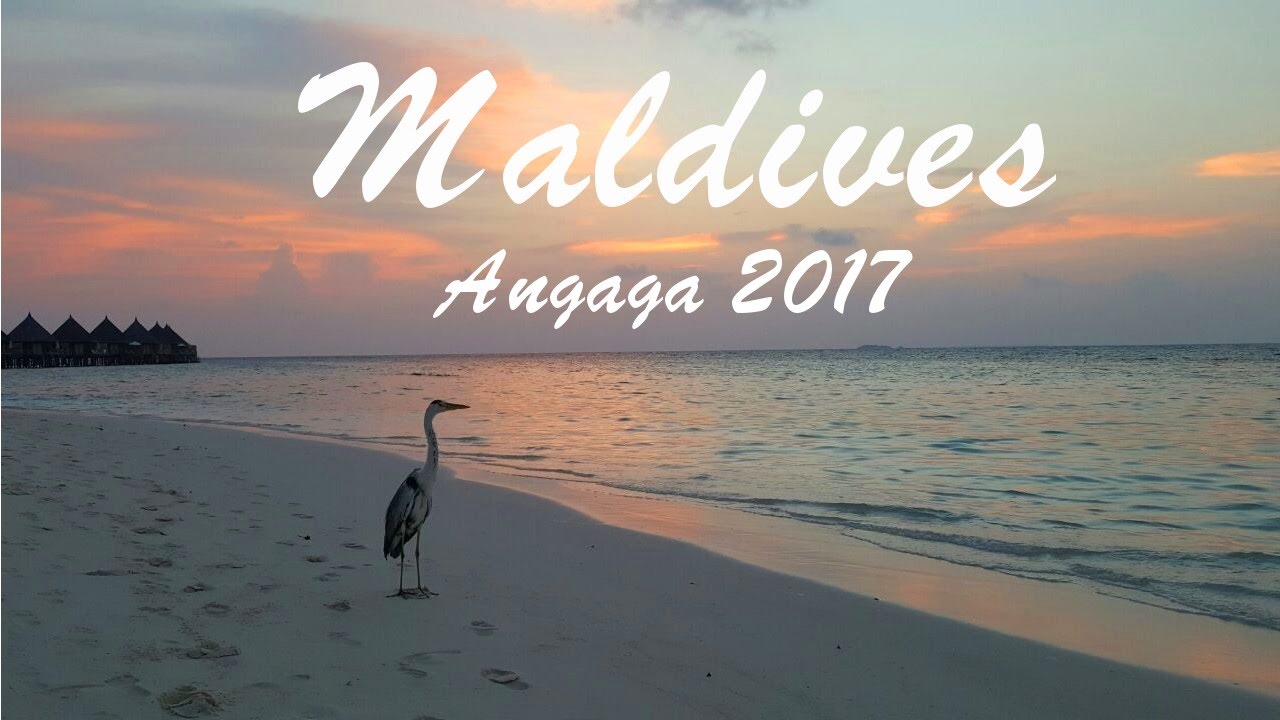 Maldives, Angaga Island Walkaround 2017 GoPro POV 4K - YouTube