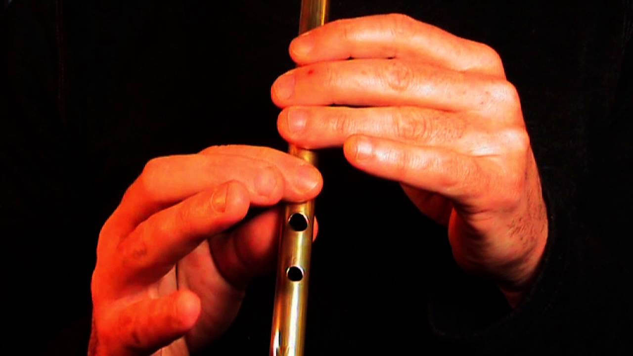 The Butterfly - 30 Irish Folk Songs for Tin Whistle - YouTube