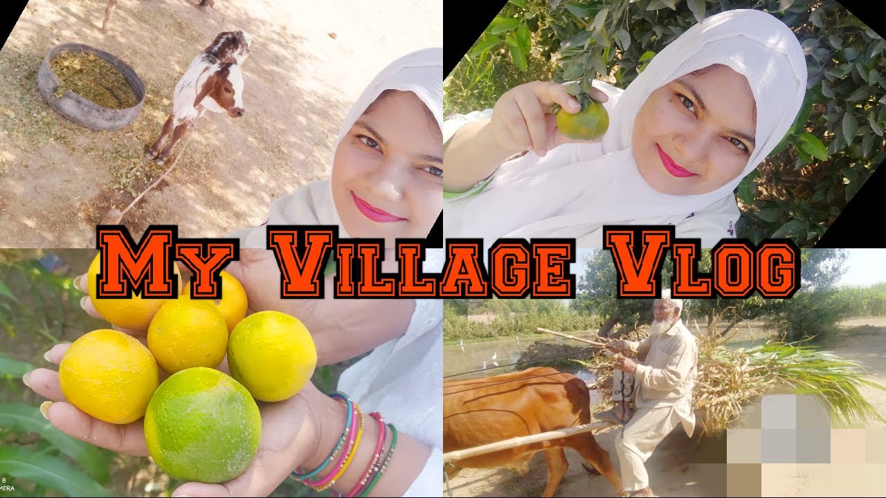 My Village Tour || My village Vlog || Pure Village Life - YouTube