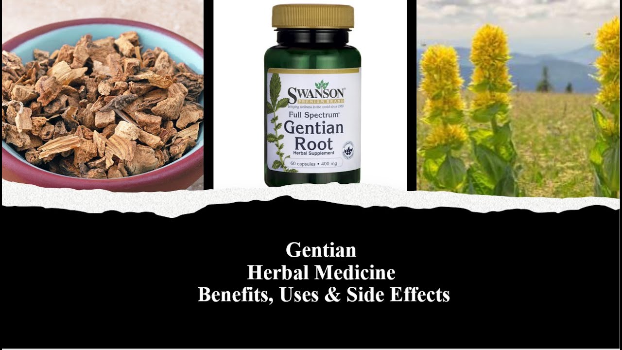 Gentian - Herbal Medicine - Benefits, Uses & Side Effects - YouTube