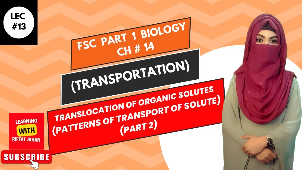 Ch#14 |Transportation| Lec #13 |Translocation Of Organic Solutes ...