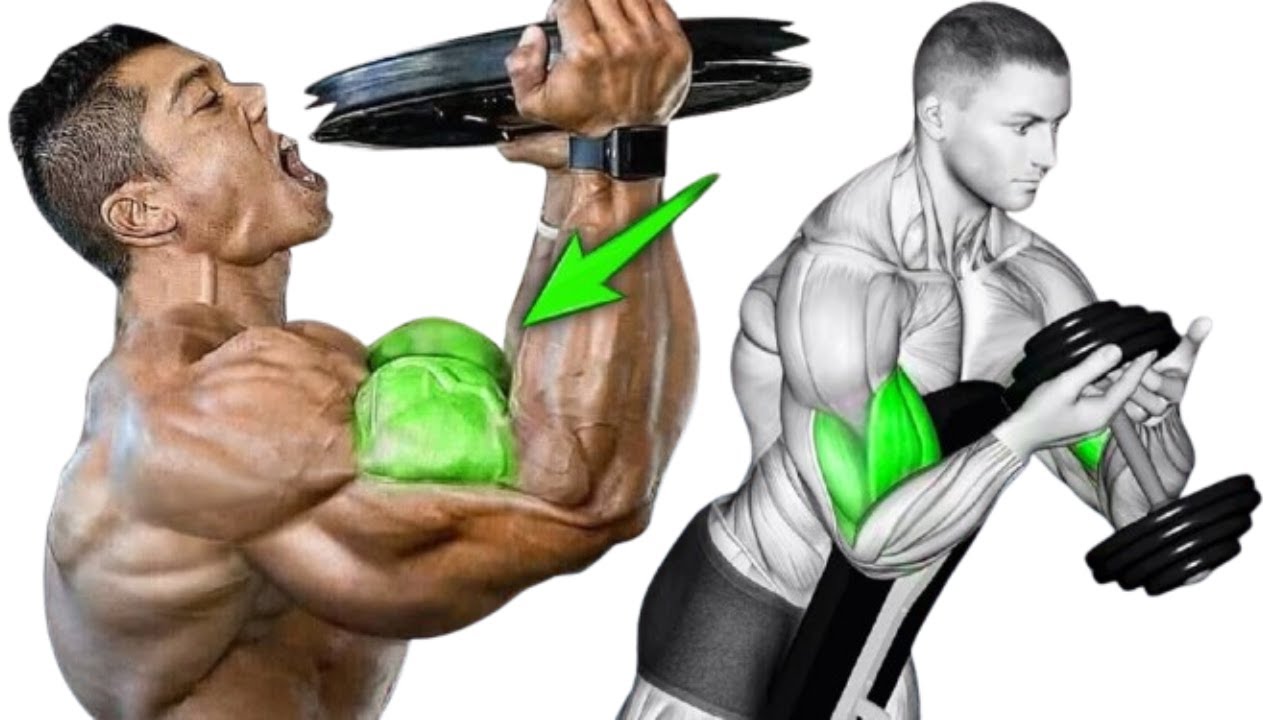 Complete Dumbbell-Only Biceps Workout Routine for Maximum Arm Size and ...