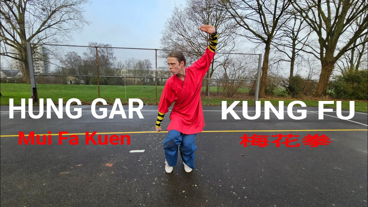 Master Mui Fa Kuen 梅花拳: Hung Gar Kungfu with Wesley Broekhuis - YouTube