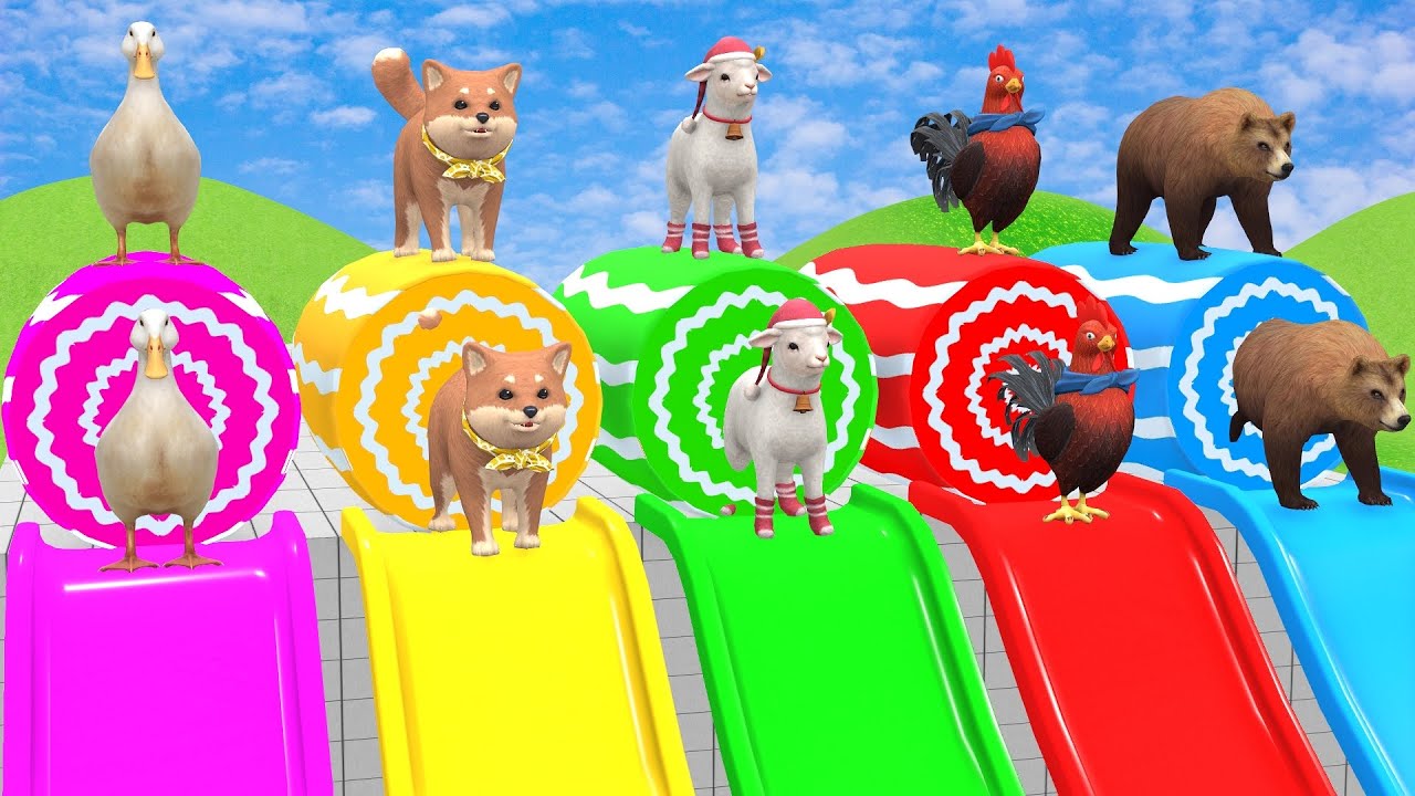 Long Slide Game With Cow Elephant Gorilla Hippopotamus Tiger 3d Animal ...