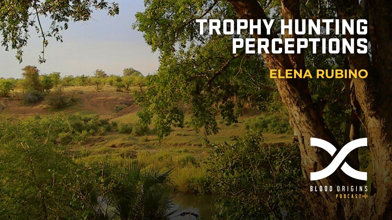 Trophy Hunting Perceptions | Ep. 561 | Elena Rubino - YouTube