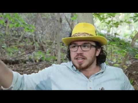 Animal Expert: The Bearcoon; S3 E2 - YouTube
