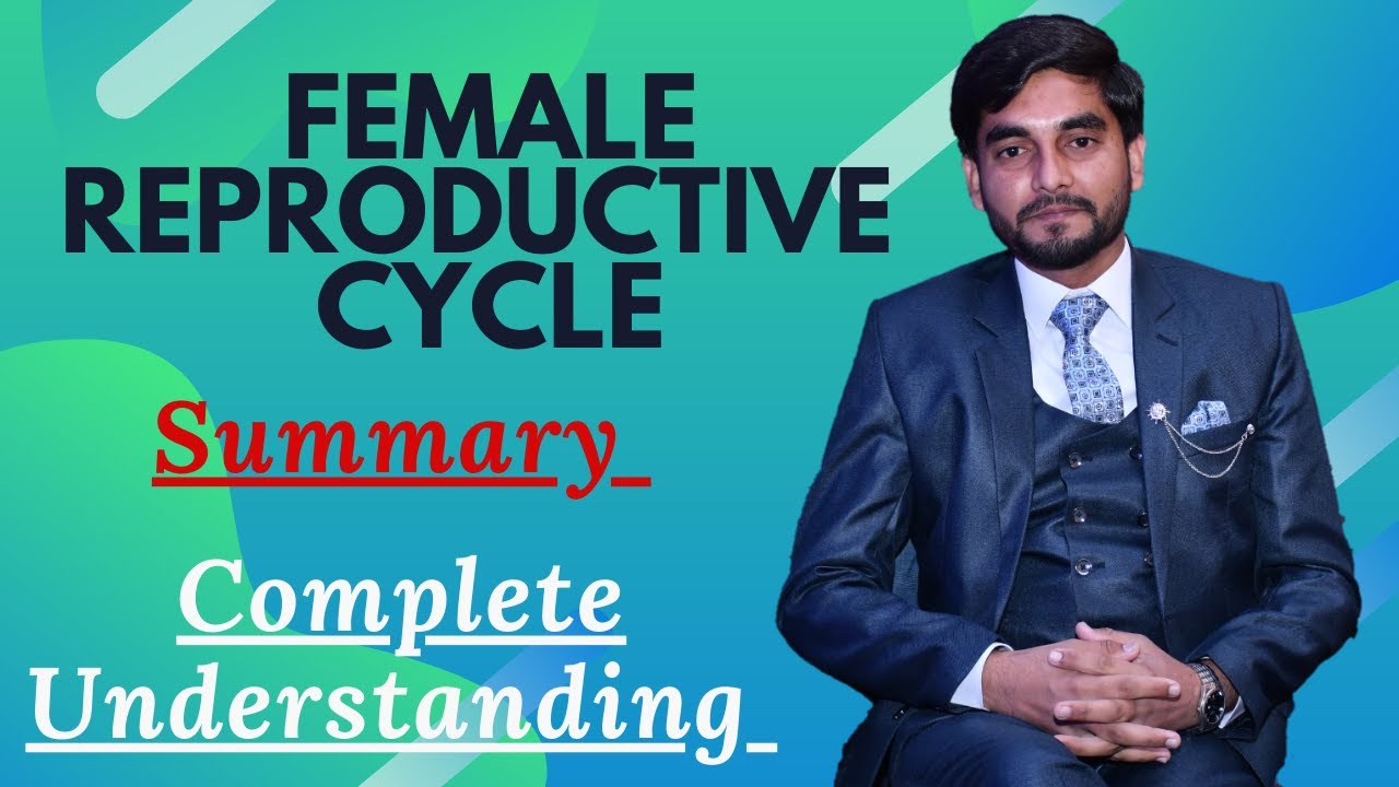 Female Reproductive Cycle / Menstrual Cycle /Summary / Complete ...