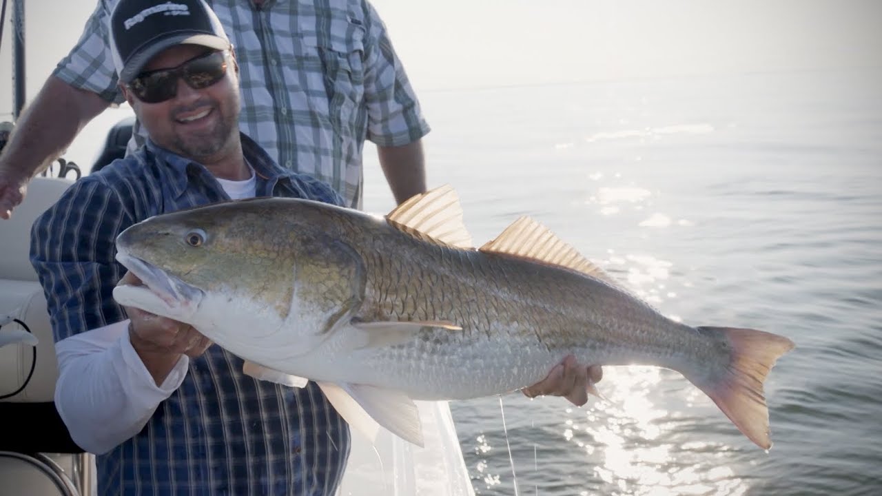 Wild Instinct Outdoors - GIANT Bull REDFISH in Louisiana - YouTube
