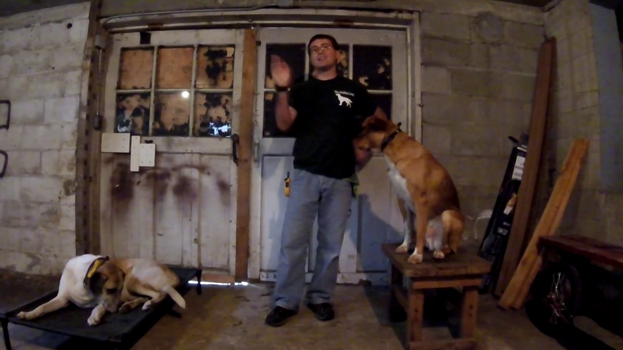 Introducing The Recall Command - YouTube