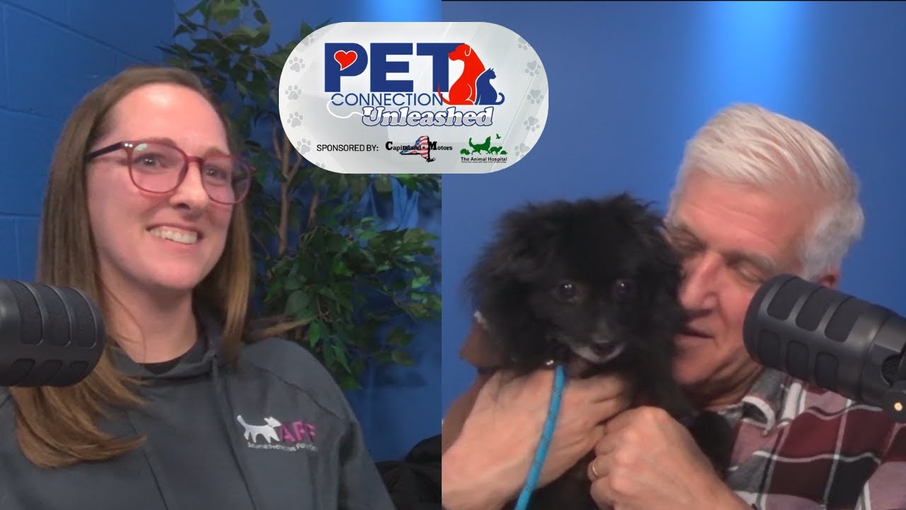 Animal Protective Foundation | Pet Connection Unleashed | WTEN+ - YouTube