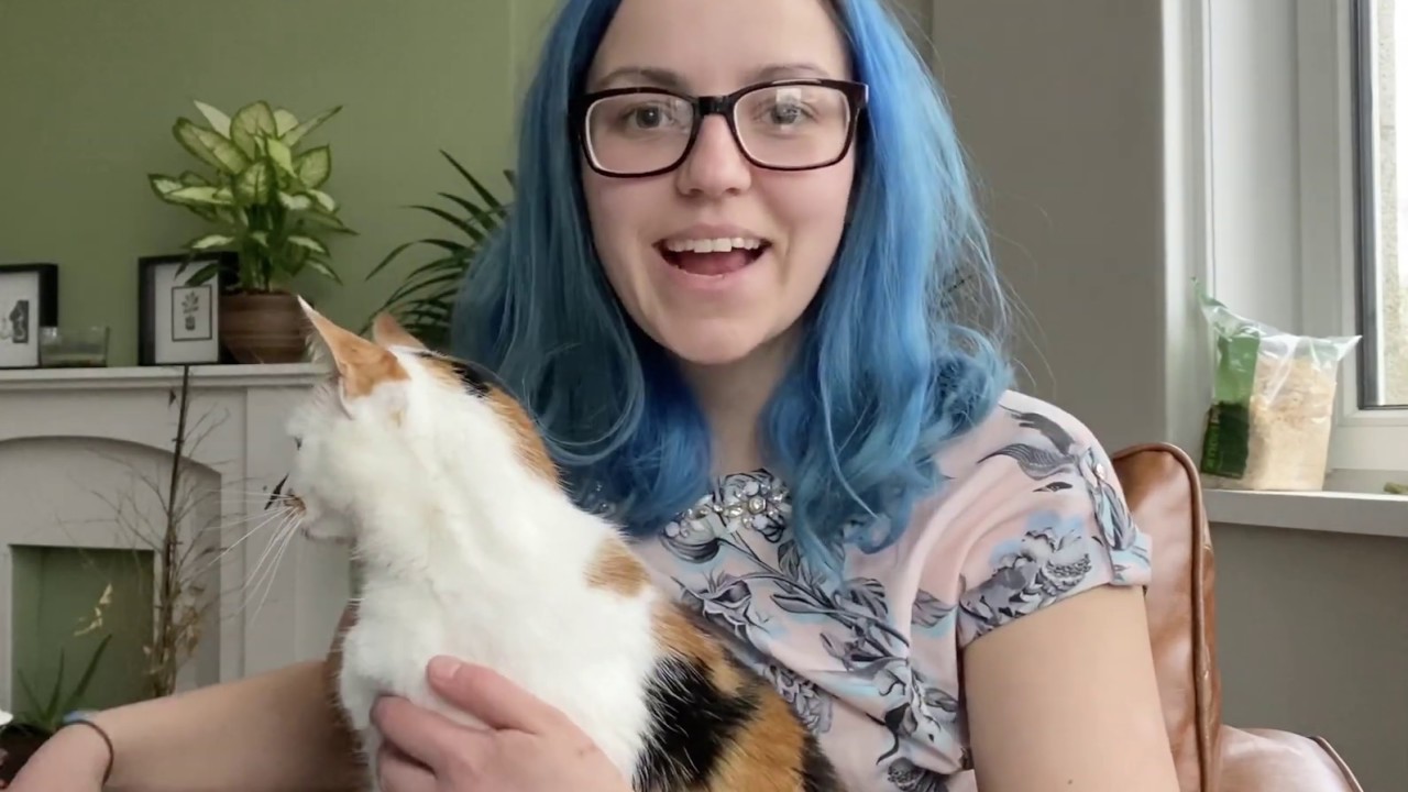 The King Cat by Marta Altes - YouTube