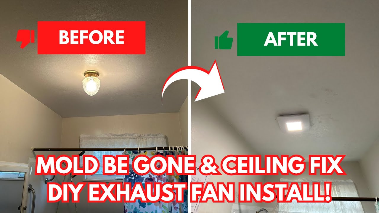 How To Kill Mold That Built Up Near The Baseboard & Replace A Ceiling ...