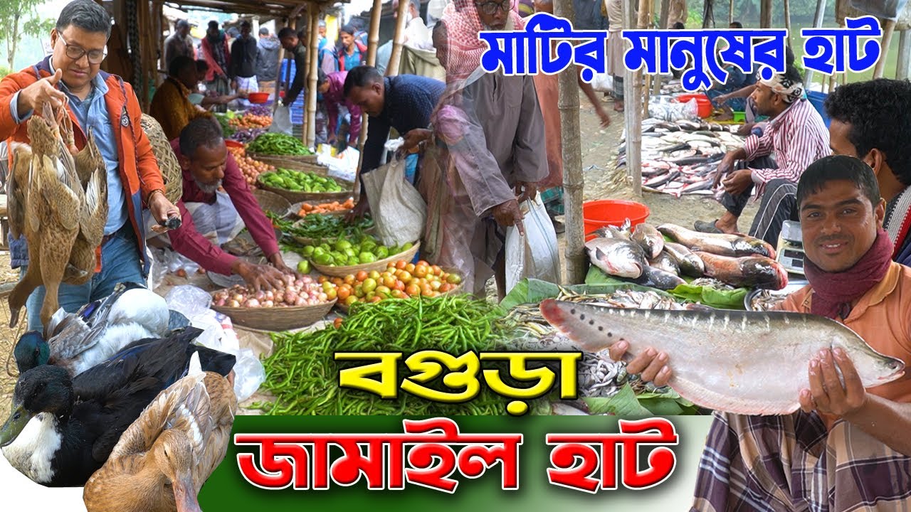 Amazing Hat Bazar Jamail Bogora | The people of the village bazaar ...