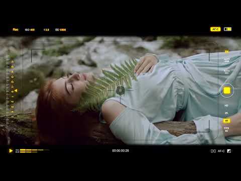 Camera Viewfinder HUD: After Effects template