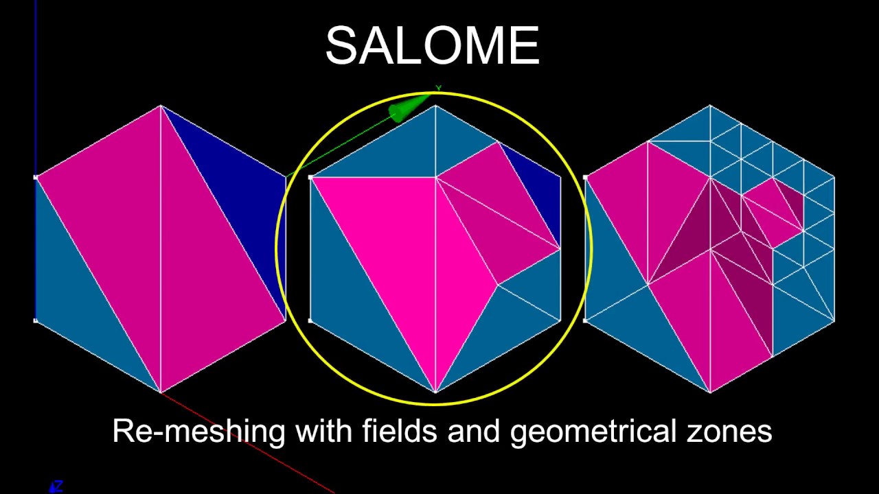 SALOME HOMARD Module: re-meshing by fields - YouTube