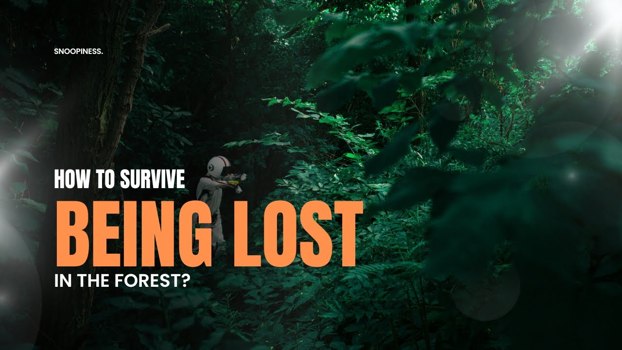 WANT TO SURVIVE IN THE FOREST? Watch this Now! - YouTube